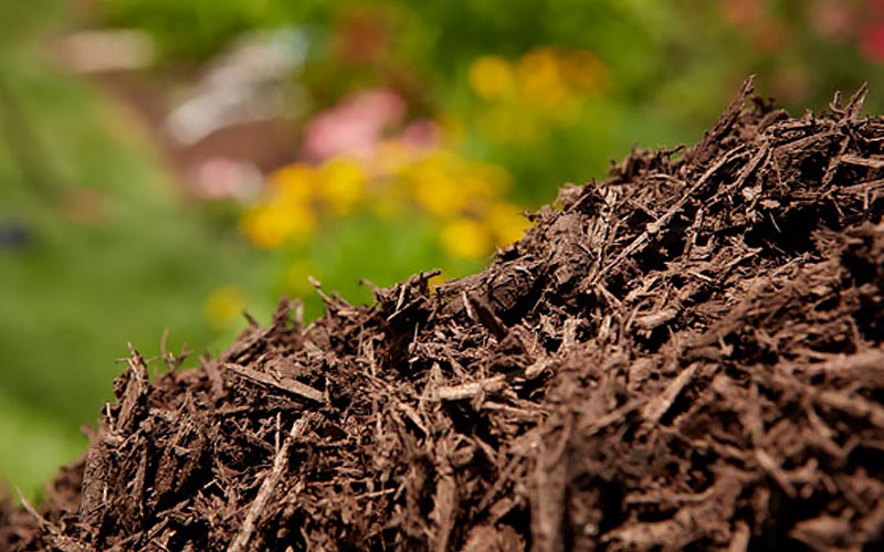 Benefits of Mulch - The Home Depot