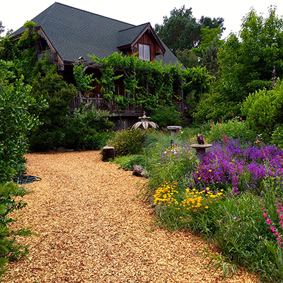 How to Make a Home More Sustainable