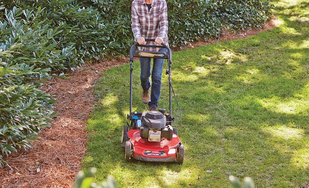 How to Plant the Lawn of Your Dreams - The Home Depot