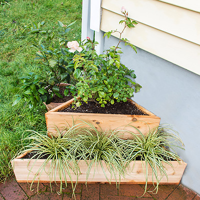 How to Build a Wall Plant Hanger