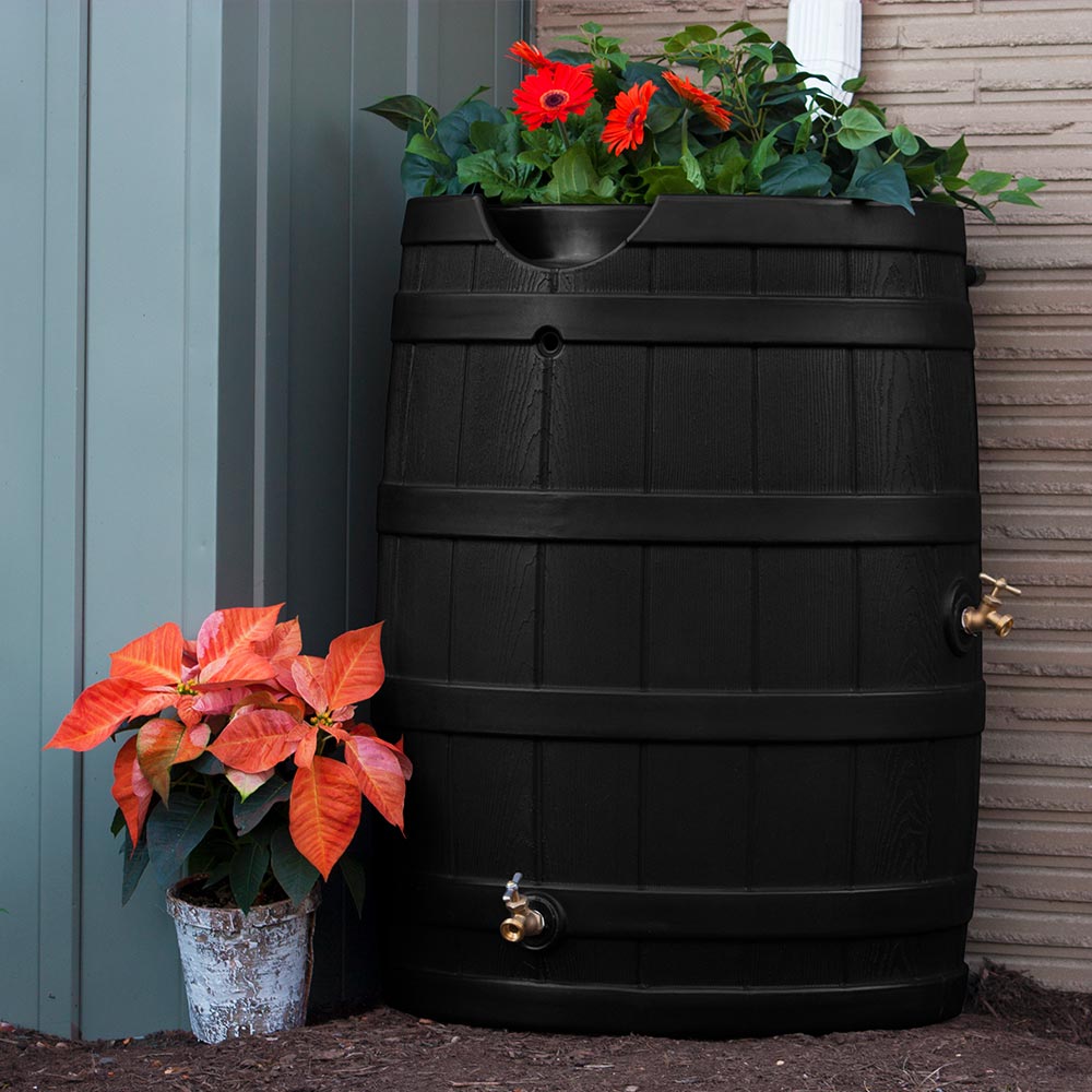 How to Save Water in Your Garden - The Home Depot