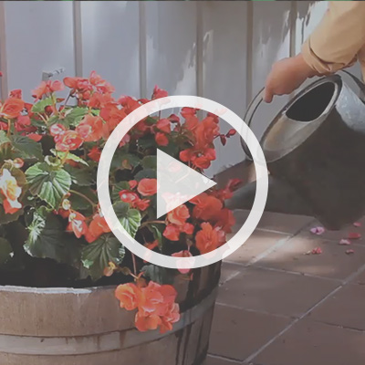 Watering & Irrigation Supplies