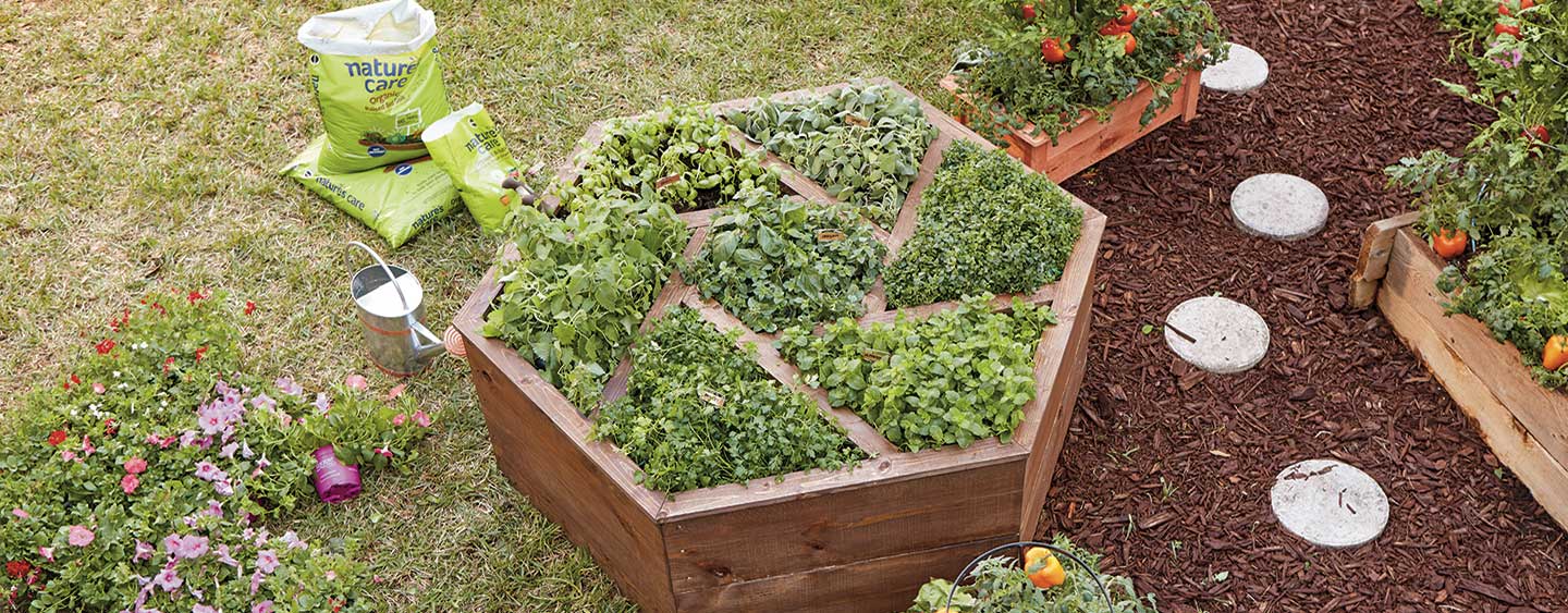 How To Build A Hexagon Planter