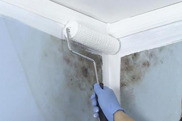 Fire Retardant - Primers - Paint - The Home Depot