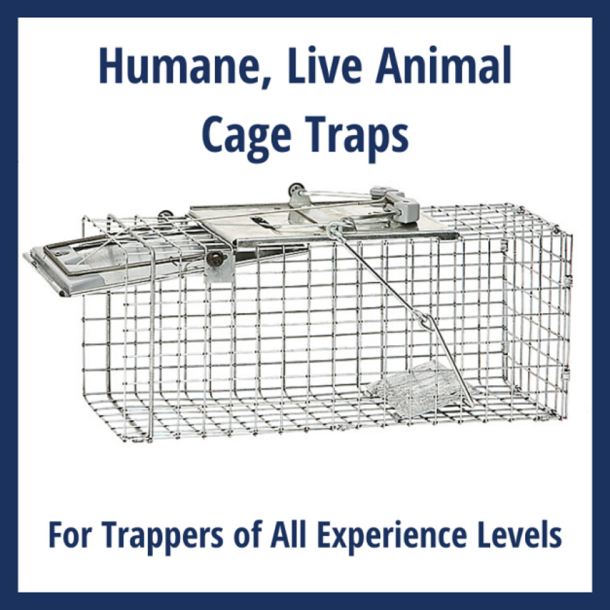Havahart Small 2-Door Animal Trap-1025 - The Home Depot