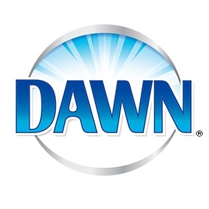 Dawn Platinum Powerwash Dish Spray 16 oz Fresh Scent Bundle Dish Soap with 1 Starter Kit Plus 1 ...